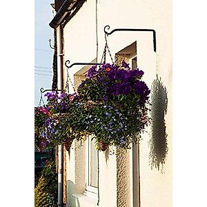 Mkono Hanging Plant Bracket 10 inch Metal Wall Plant Hook Decorative Plant Hanger for Bird Feeders, Planters, Lanterns, Wind Chimes, Home Decor Indoor Outdoor 2 Pack, Black