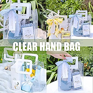 Tecmisse 5 Pcs Clear Gift Bag with Handle, Small Transparent Gift Wrap Bags, Reusable Shopping Bags with Handle for Wedding, Baby Shower Birthday, Bridal Party, Goody Bag (7 x4 x 8 Inch)