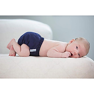 GroVia Newborn All in One Snap Reusable Cloth Diaper (AIO) (Petal)