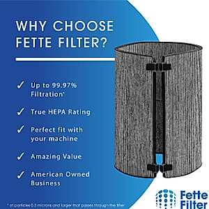 Fette Filter - Carbon Filter Replacement Compatible with Dyson K-Carbon, Compare to Part # 972133-02 & 972133-03 for Dyson Models BP03/BP04/BP06 Purifier Big+Quiet Formaldehyde Extra Large. 1-Pack
