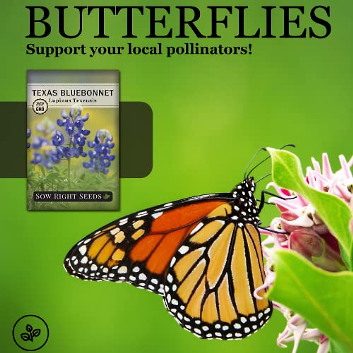 Sow Right Seeds - Texas Bluebonnet Seeds to Plant - Full Instructions for Planting and Growing a Beautiful Flower Garden; Non-GMO Heirloom Seeds; Wonderful Gardening Gift (1)