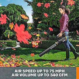 WORX 20V Turbine Cordless Two-Speed Leaf Blower Power Share - WG547 (Battery & Charger Included)