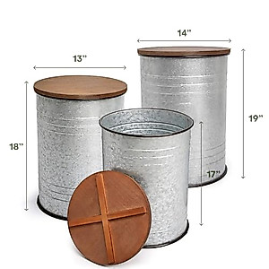 Hallops Farmhouse Accent Side Table | Galvanized Rustic Coffee Table | Metal Storage Ottoman Wood Cover | Farmhouse Decor Storage Box (Set of 3, Silver)