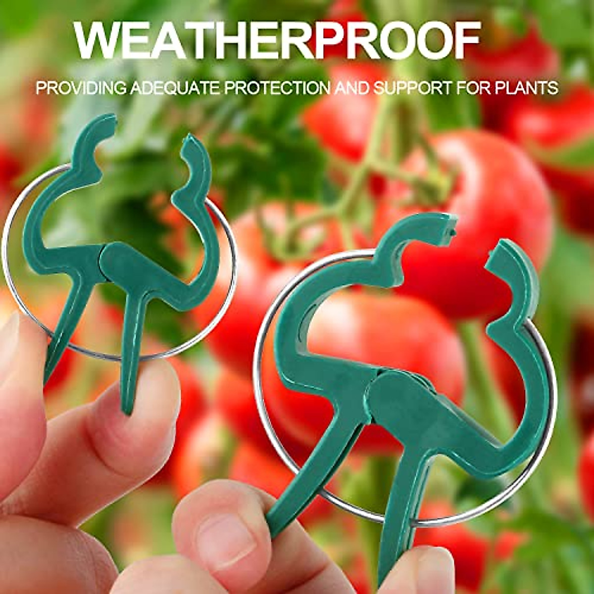 Yinghezu 40 Pcs Plant Support Clips,Flower and Vine,Garden Tomato Plant Support Clips for Supporting Stems,Vines Grow Upright Climbing,Tool for Straightening,Tomato Cage,Trellis. 2 Sizes in one Pack