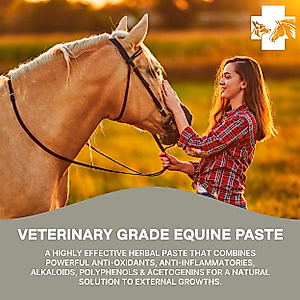 Vet Grade Horse Wellness Paste for Skin Anomalies | 1oz All-Natural Formula | Equine & Livestock Care