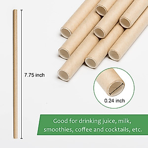 𝟐𝟎𝟎 𝐏𝐚𝐜𝐤 Eco Friendly Straws Brown Biodegradable Paper Straws for Drinking 7.75" x0.24" Disposable Kraft Paper Straws (7.75" x0.24", Brown)