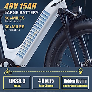 Fat Tire Electric Bike 750W 48V 15Ah BAFANG Hub Motor LG Cell Removable Downtube Integrated Battery 26”×4" High Rise Handlebar Mud Guard Rear Rack 28MPH Road City Shimano 7 Speed UL Ebike for Women