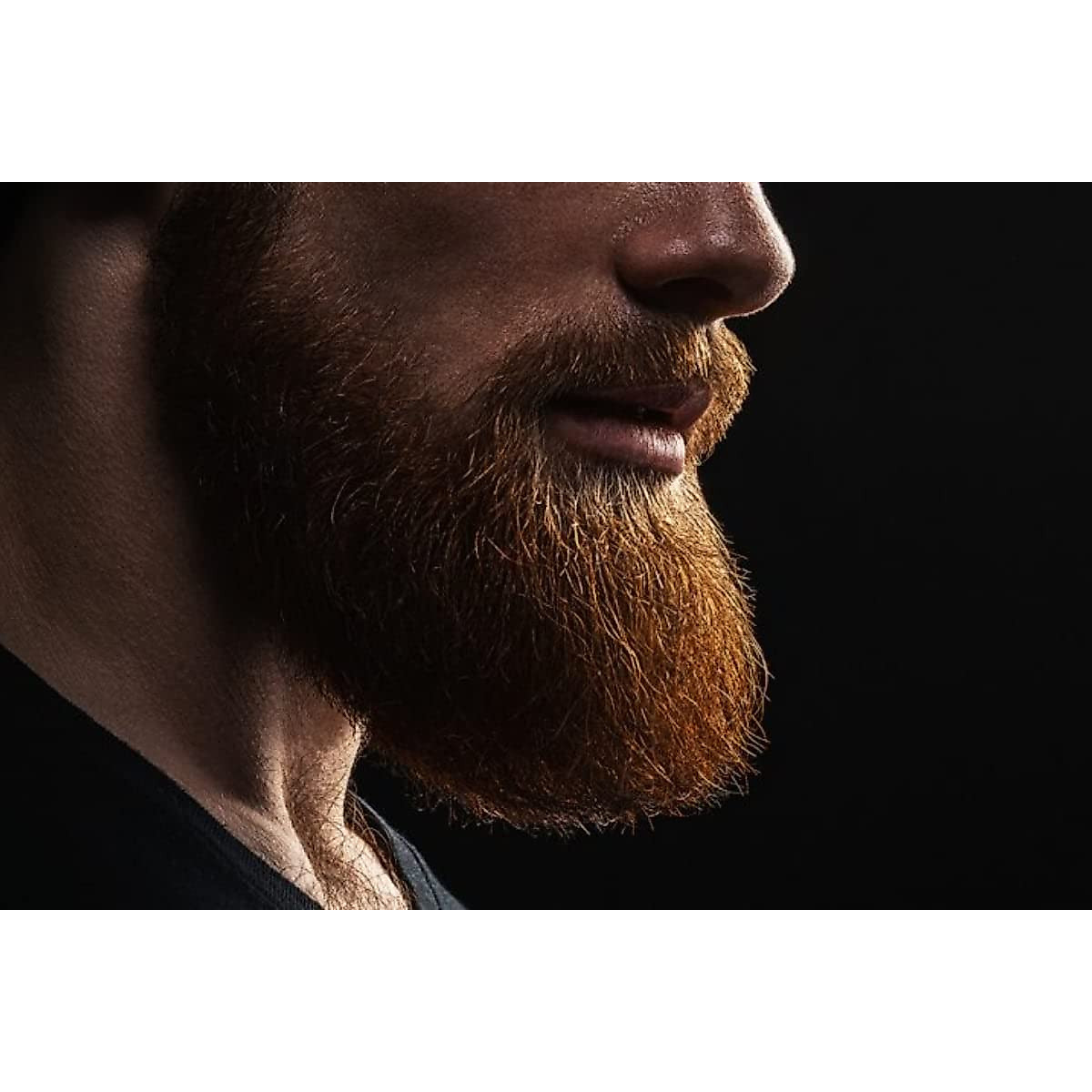 Beardoptima Elemental Beard Oil for all Types of Beard | Softens and Moisturizes Facial Hair | Contains Vitamin E Helps Reduce Beard Irritations & Accelerate Beard Growth | 1 FL OZ / 30ML