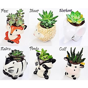 6 Pcs Air Plant Holders Cartoon Shaped Small Succulent Pot Animal Planter Small Ceramic Plant Pot with Drainage for Mini Plant Cactus Flower, Tillandsia Air Fern, Display Stand Home, Office Desktop