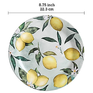 Bico Lemon Dreams Ceramic Salad Plates, 8.75 inch, Set of 4, for Salad, Appetizer, Microwave & Dishwasher Safe