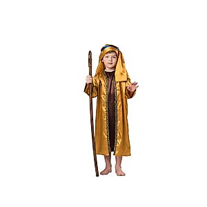 Dress Up America Saint Costume for Kids - Boys Shepherd Costume - Brown and Gold Biblical Costume for Kids