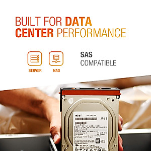 HGST Ultrastar 7K6000 6TB 7200 RPM 512e SAS 12Gb/s 3.5-Inch Enterprise Hard Drive (HUS726060AL5210) (Renewed)