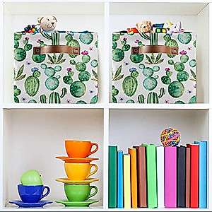 Rectangular Storage Bin Cube Cactus Succulent Floral Foldable Organizer Basket with Handles, Tropical Leaves Flower Collapsible Storage Box for Kids Toy Shelf Closet Nursery