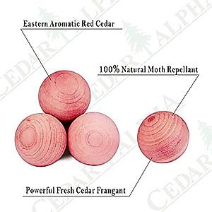 Langxinese Delux 50 Pk Cedar Blocks for Clothes Storage 8 Hang Ups 8 Flower Rings 4 Sachets 30 Balls Clothes Protector, Storage Accessories Closets & Drawers Freshener,Cedar for Chest.