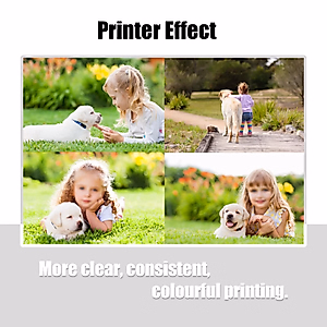 NoahArk 4 Packs 212XL Remanufactured Ink Cartridges Replacement for Epson 212 T212XL High Yield for Workforce WF-2830 WF-2850 Expression Home XP-4100 XP-4105 Printer(Black/Cyan/Magenta/Yellow, 4-Pack)