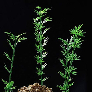 WINOMO Model Bamboo Trees Miniature Landscape Bamboo Trees Scale 1:75, Pack of 100 (Green)