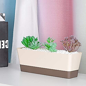 GROWNEER 3 Packs 12 Inches Window Boxes Rectangle Planter with 15 Pcs ...