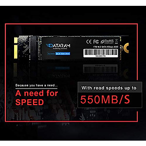 Dataram SSD for 2012 Apple MacBook Air EMC 2558 & EMC 2559, SATA-III M.2 2280 Internal SSD (1TB)