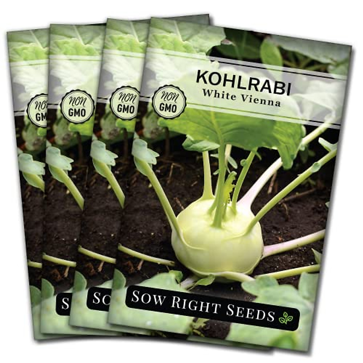 Sow Right Seeds - White Vienna Kohlrabi Seed for Planting - Non-GMO Heirloom Packet with Instructions to Plant a Home Vegetable Garden (4)