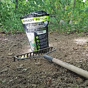 Backwoods Premium Wildlife Products Shady Patch - Premium Food Plot Seed Mix - 5 Pound Bag