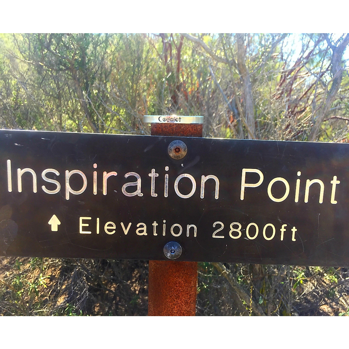 Quotable Cuffs Coexist Engraved Pewter Bracelet by Whitney Howard Designs