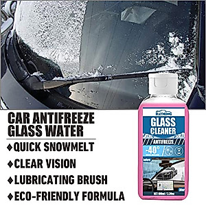 RAYHONG 2Pcs Windshield Washer Fluid Concentrate, Multi-Surface Glass Cleaning, Car Antifreeze Glass Water - 100ML
