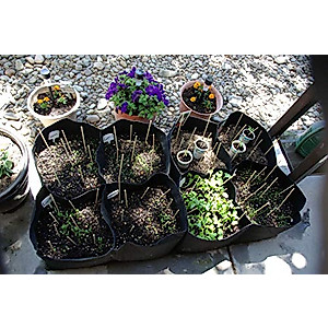 2 Pack Fabric Raised Garden Beds 2FT X 2FT 4 Holes Square Fabric Raised Planting Bed for Vegetables Outdoor and Indoor