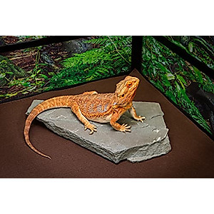 Carolina Custom Cages Natural Habitat Rocks, Blue Green (one Large Size)