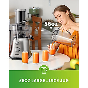 GDOR 1300W Powerful Juicer with Larger 3.4" Feed Chute, Titanium Enhanced Cutting System, Centrifugal Juice Extractor Maker with Heavy Duty Full Copper Motor, Dual Speeds, BPA-Free, Silver