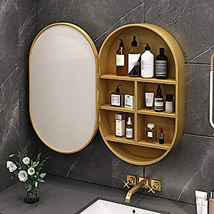 ZTGL Oval LED Lighted Mirror Cabinet, Wall-Mounted Bathroom Medicine Cabinet, Touch Button, Slow Close Hinge, 19.7x31.5 in,Gold,Lights Defogging