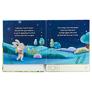 Hallmark Recordable Book for Children (My Wish for You)