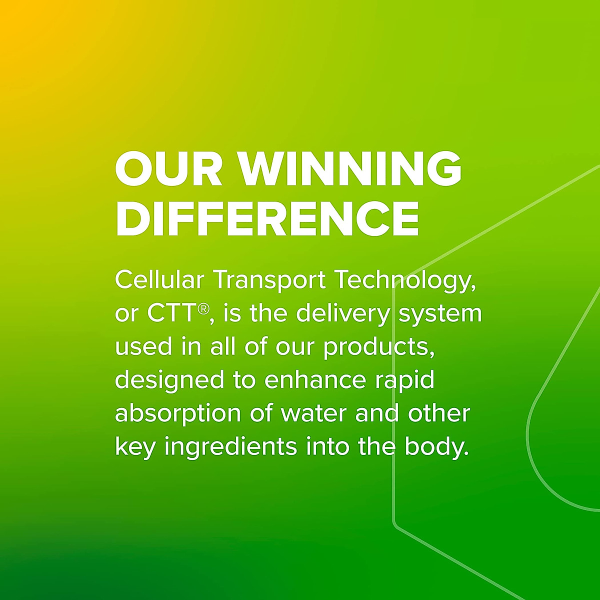 Liquid I.V.® Hydration Multiplier® +Energy - Lemon Ginger - Hydration Powder Packets | Electrolyte Powder Drink Mix | Convenient Single-Serving Sticks | Non-GMO | 1 Pack (14 Servings)