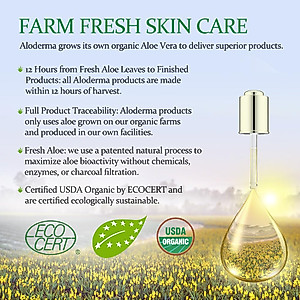 Aloderma Essential Aloe Hydrating Skin Care Set - 4 Pieces - Gel, Cleanser, Toner, Cream