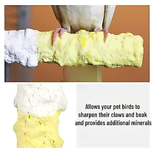Bird Perches for Parrots-Cuttlebone Calcium Perch Standing Cuttlebone Holder for Birds Cage Accessories Color Randomly (Medium)