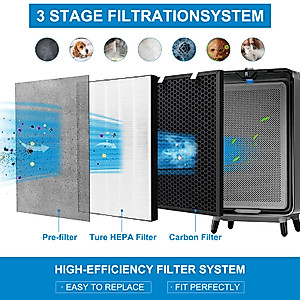 2 Sets Air220 Air320 Filter Replacement Compatible with Bissell Air320 Air220 2768A 2609A Air Purifier, Include True HEPA Filter + Pre Filter & Activated Carbon Filter, Compare Part # 2677,2678,2804