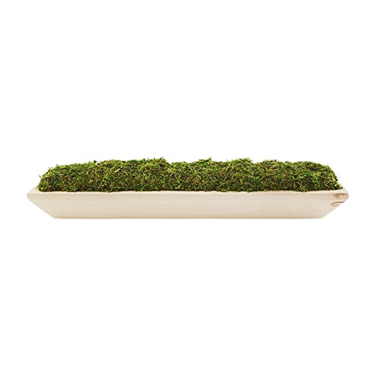 Mud Pie Preserved Moss Paulownia Tray, Natural, 5 3/4" x 25 3/4"