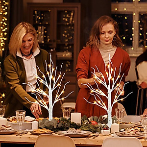 PEIDUO Easter Decorations for The Home, Set of 2 Easter Tree Battery Powered Timer, Lighted Birch Tree with LED Lights, Mantle Decor Lighted Trees for Decoration Inside (2FT Warm White)