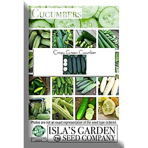 "Crispy Green" Cucumber Seeds for Planting, 25+ Seeds Per Packet, (Isla's Garden Seeds), Non GMO & Heirloom Seeds, Botanical Name: Cucumis sativus, Great Home Garden Gift