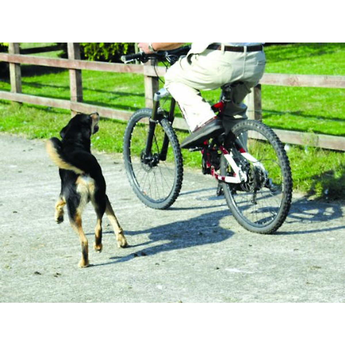 PET CORRECTOR Dog Trainer, 50ml. 8 Pack- Stops Barking, Jumping Up, Place Avoidance, Food Stealing, Dog Fights & Attacks. Help stop unwanted dog behaviour. Easy to use, safe, humane and effective.