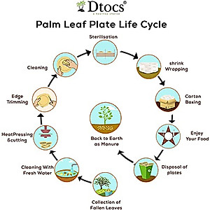 Dtocs Palm Leaf Plates 6x9 Inch Rectangle Tray (Pack 50) | Bamboo Plate Like Biodegradable Compostable Plate, Disposable Charcuterie Board, Mini Cheese Board | Sturdy Than Heavy Duty Paper Plates