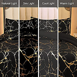 Holawakaka Black Gold Metallic Marble Duvet Cover Set Queen Size Foil Print Glitter Bedding Set (Black Queen, No Comforter)