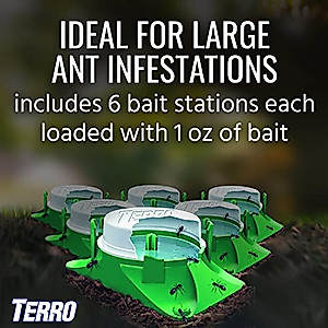 Terro 1806 Outdoor Liquid Ant Baits, 1.0 fl. oz. - 6 count