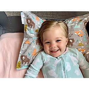 ALVABABY Toddler Pillowcases Fits 13 x 18 inch and 12x 16 inch Kids Pillow 2 Pack Cotton Baby Bedding Pillow Cover Envelope Children Kids Sleep Pillowcases for Boys Girls Dinosaur Bear 2TPW09