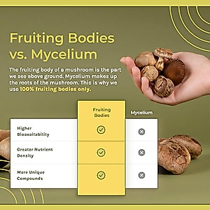 Naturealm - Sacred 7 Mushroom Extract Powder - Filler-Free - Organic - 100 Percent Fruiting Bodies - 8 Oz