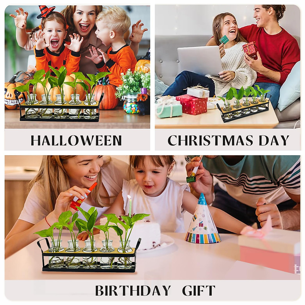 Quuavio Plant Propagation Stations with Metal Stand, Desktop Plant Terrarium with 5 Air Propogation Jars, Flower Glass Vasefor Hydroponic, Home Garden Window Office Decor, Plants Gifts