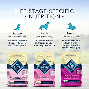 Blue Buffalo Life Protection Formula Natural Puppy Small Breed Dry Dog Food, Chicken and Oatmeal 5-lb Trial Size Bag