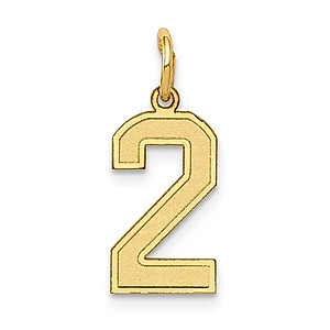 Solid 14k Yellow Gold Small Number 2 Charm Brushed Matte Finish Pendant - 18mm x 7mm