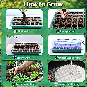 Kirababy Seed Starter Tray with Grow Light, 2 Packs Seed Tray Kits with 80-Cell/Seedling Tray with Humidity Dome/Indoor Grow Kit for Deep-Rooted Seedlings