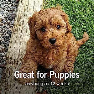 SENTRY HC WORM X PLUS 7 Way De-Wormer (pyrantel pamoate/ praziquantel), for Medium and Large Dogs over 25 lbs, 2 Count