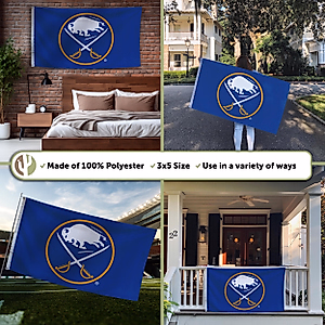 Desert Cactus Buffalo Sabres Flag NHL 100% Polyester Indoor Outdoor 3x5 feet National Hockey League Team Flags (Design #1)
